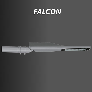 Falcon – ALLIANCE CEI